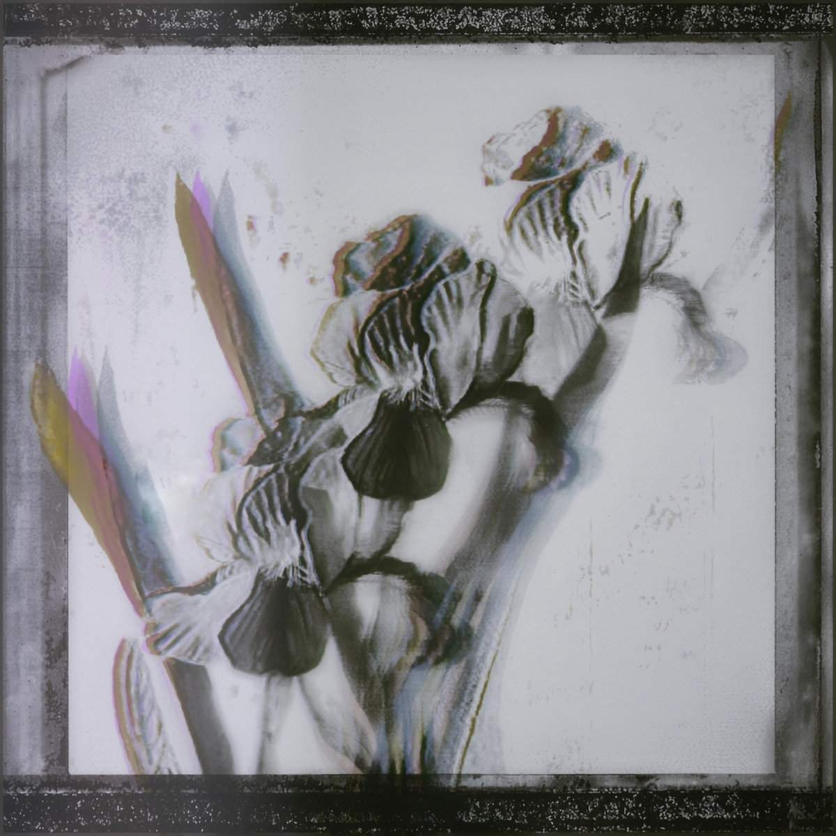 mu arae Albums: songs, discography, biography, and listening guide ...