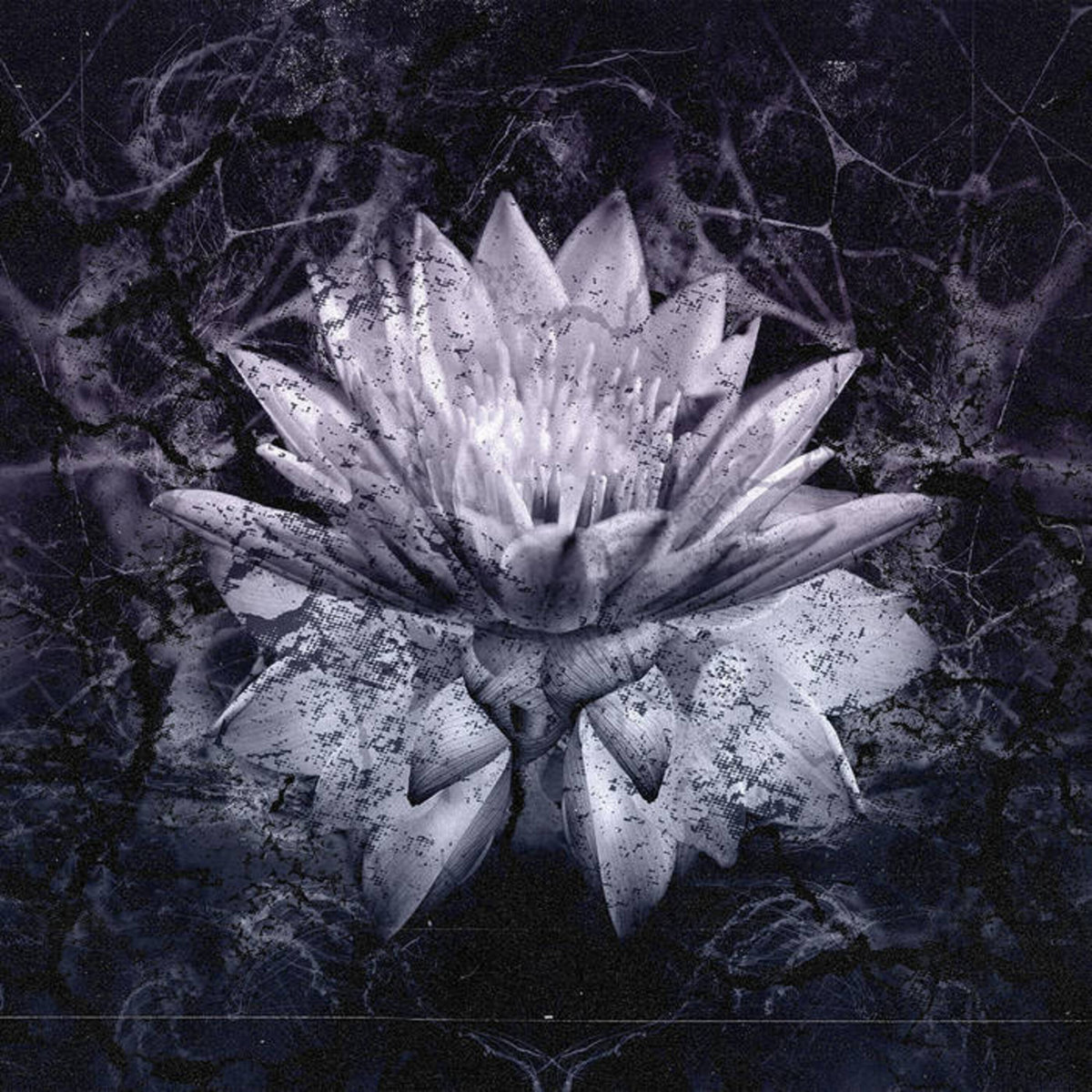 The Nine Billion Names of Hate by Soiled Hate (Album): Reviews, Ratings ...