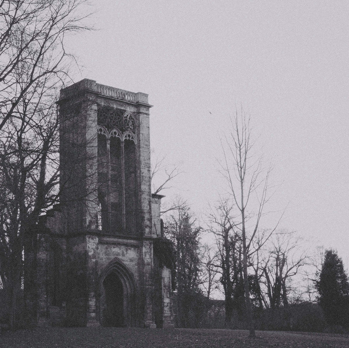 Shed by Czernina (Album, Black Metal): Reviews, Ratings, Credits, Song ...