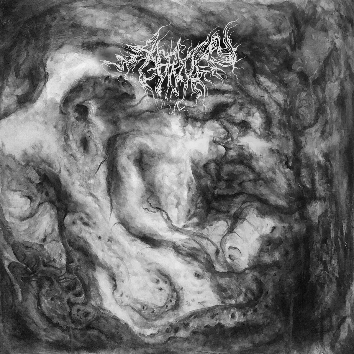 Aberration Albums: songs, discography, biography, and listening guide ...