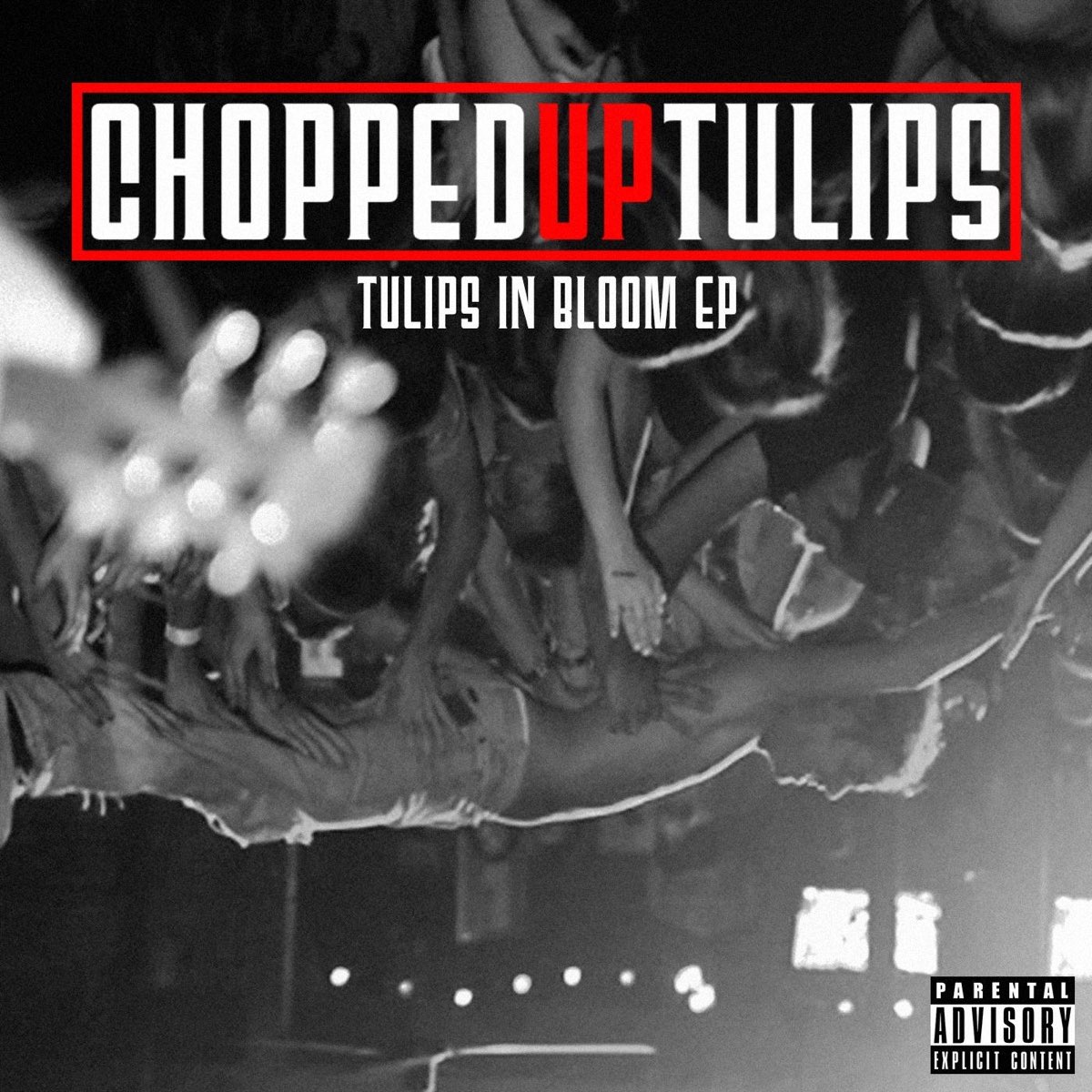 Chopped Up Tulips Albums: songs, discography, biography, and listening ...