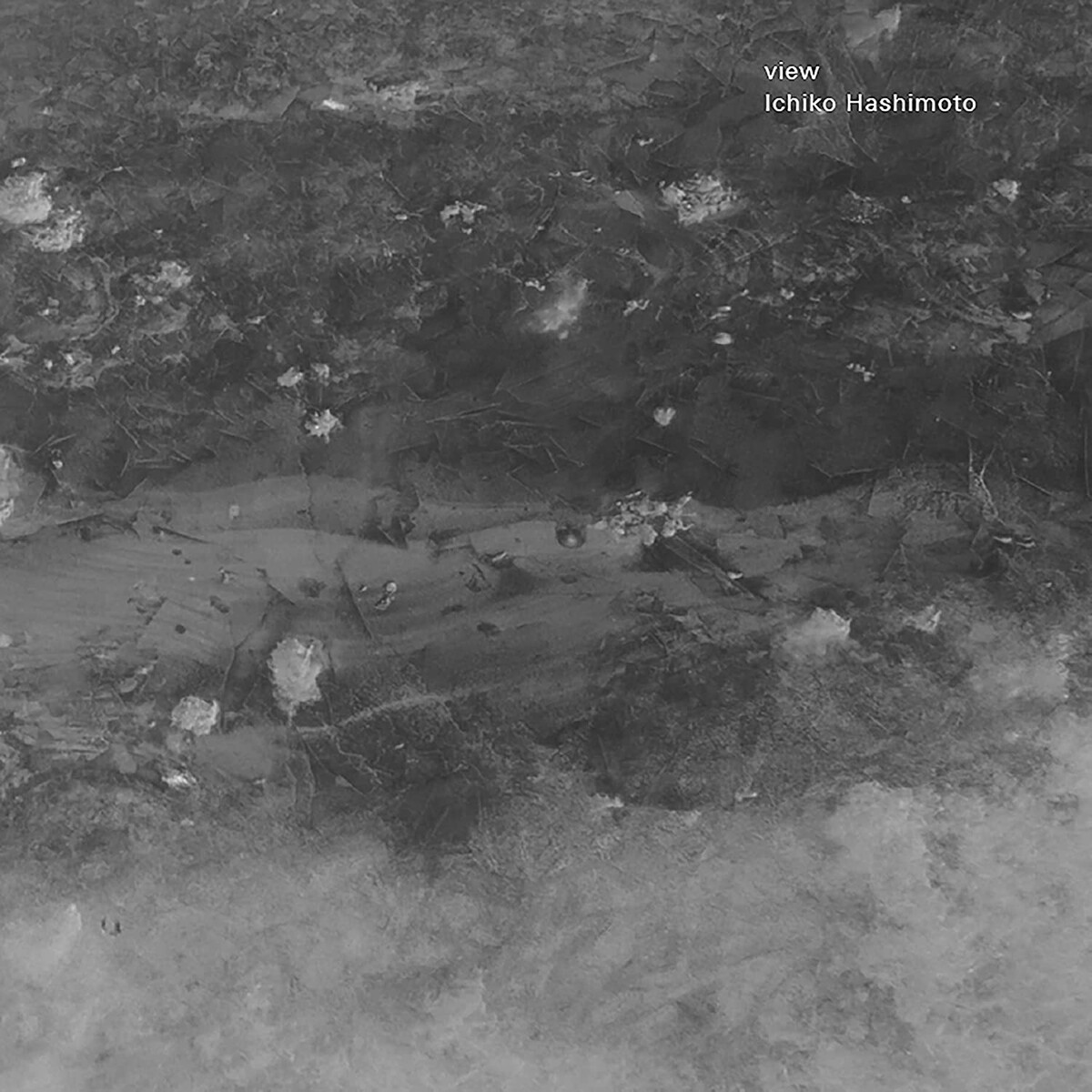 View by 橋本一子 [Ichiko Hashimoto] (Album): Reviews, Ratings, Credits ...