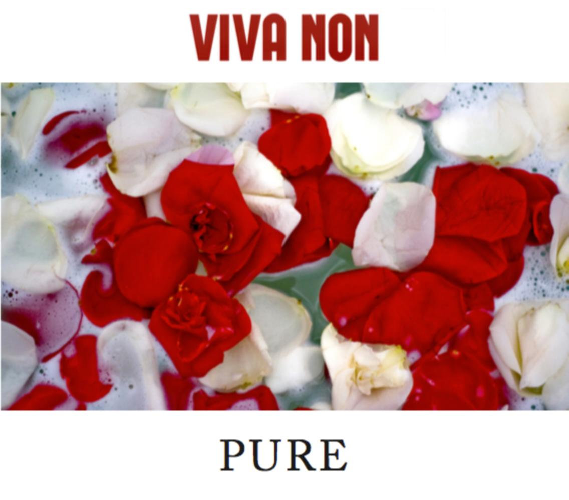 Pure by Viva Non (Album): Reviews, Ratings, Credits, Song list - Rate ...