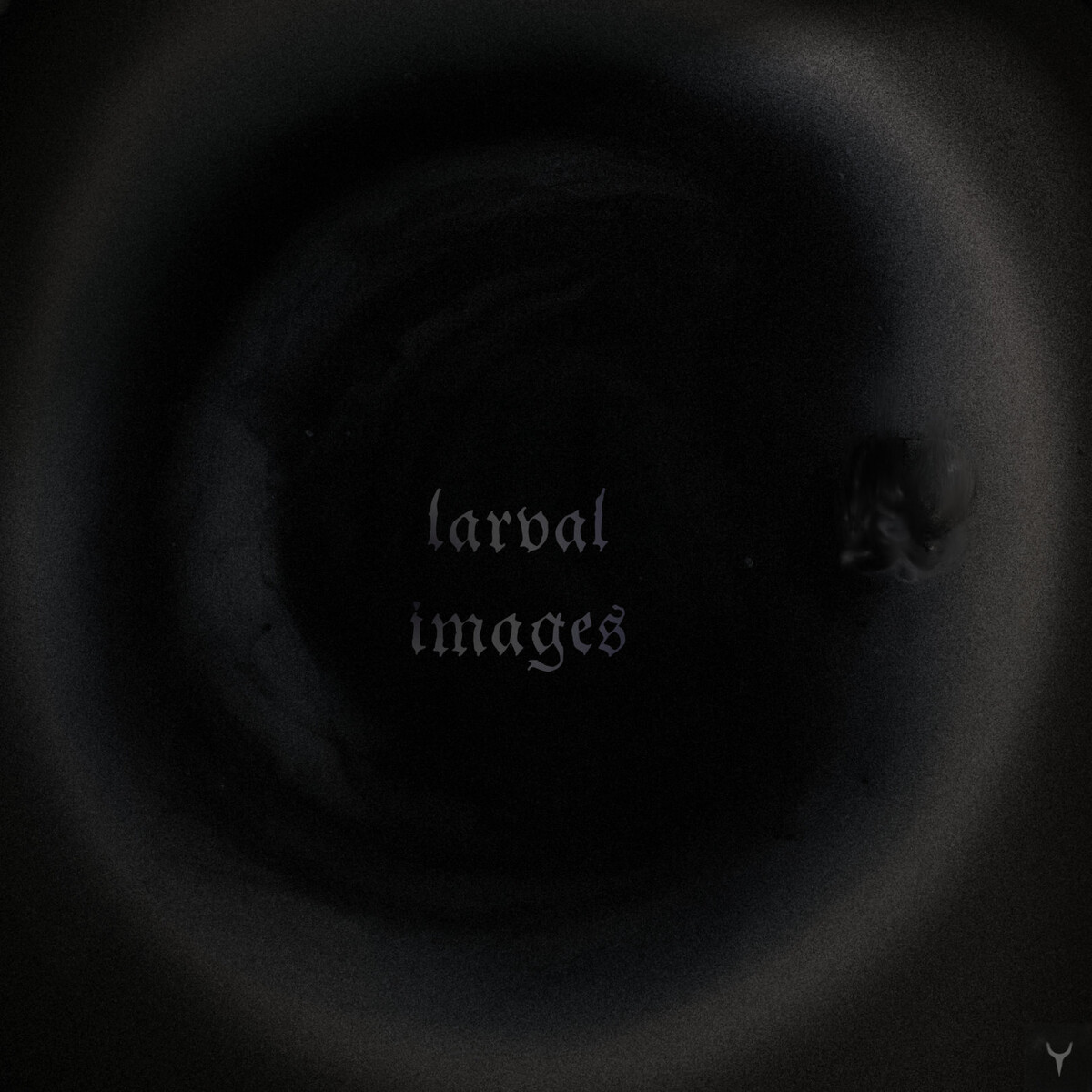 Total Unknown Albums: songs, discography, biography, and listening ...