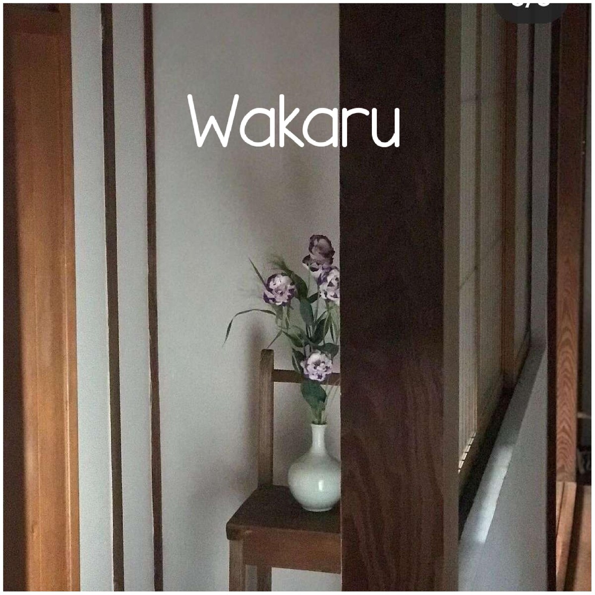 Wakaru by Michiru Aoyama (Album): Reviews, Ratings, Credits, Song list - Rate Your Music