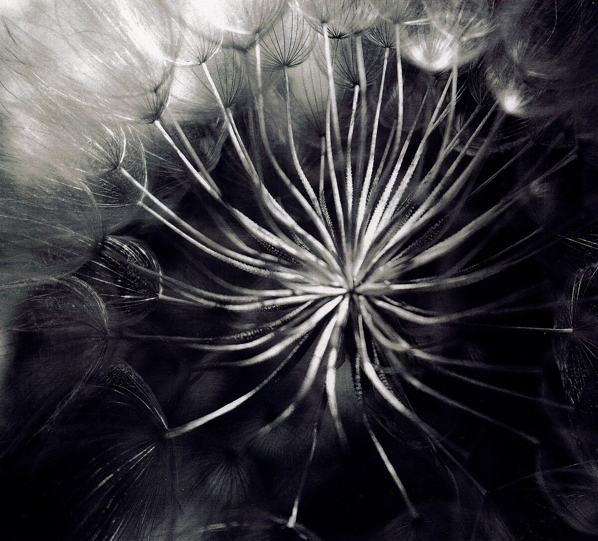 Pneuma by Diespnea (Album, Atmospheric Black Metal): Reviews, Ratings ...