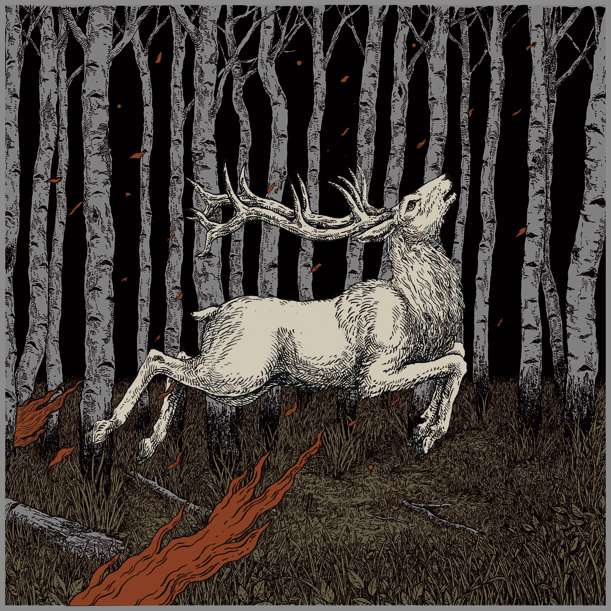 Ladoga by Olhava (Album, Blackgaze): Reviews, Ratings, Credits, Song ...