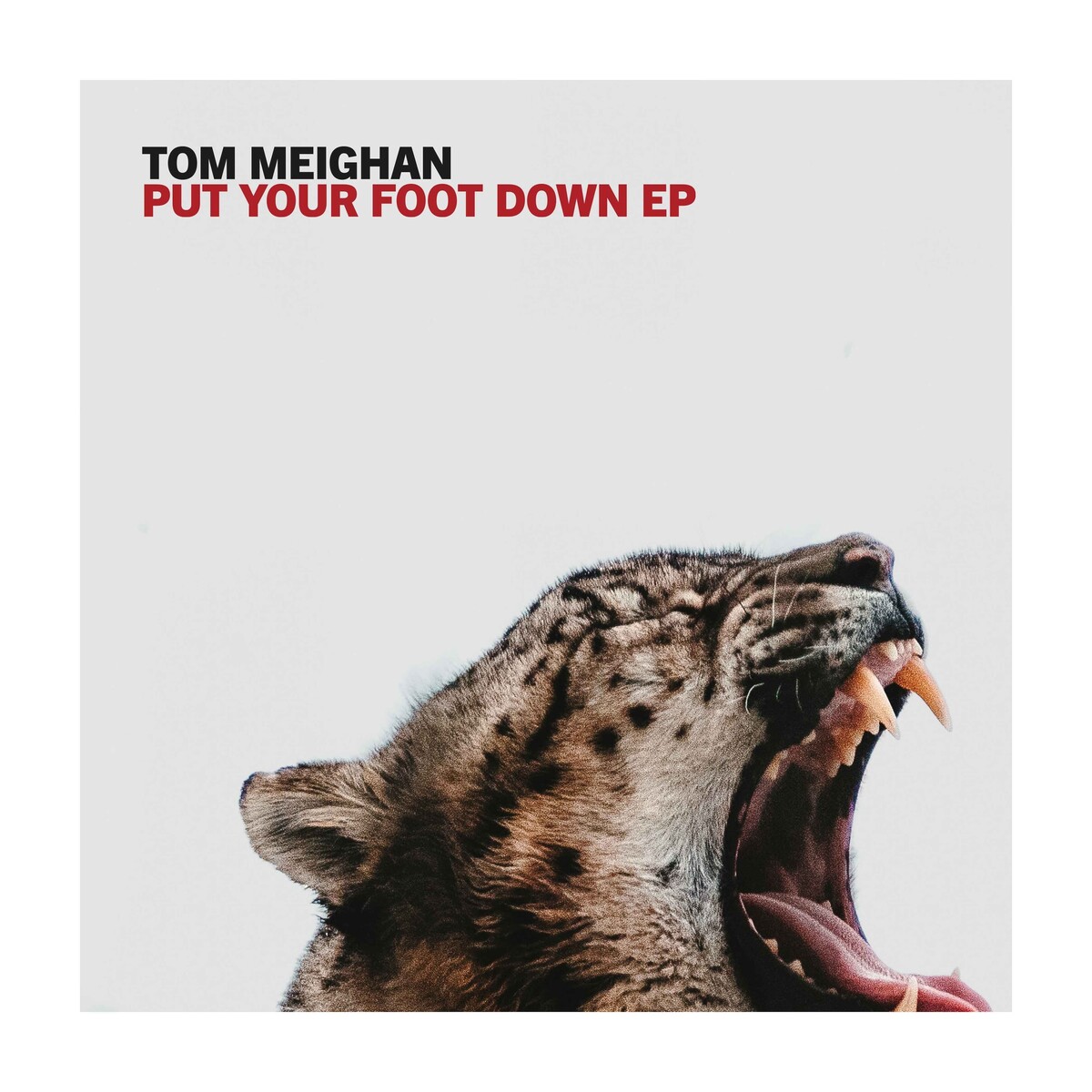 Put Your Foot Down EP by Tom Meighan (EP): Reviews, Ratings, Credits ...
