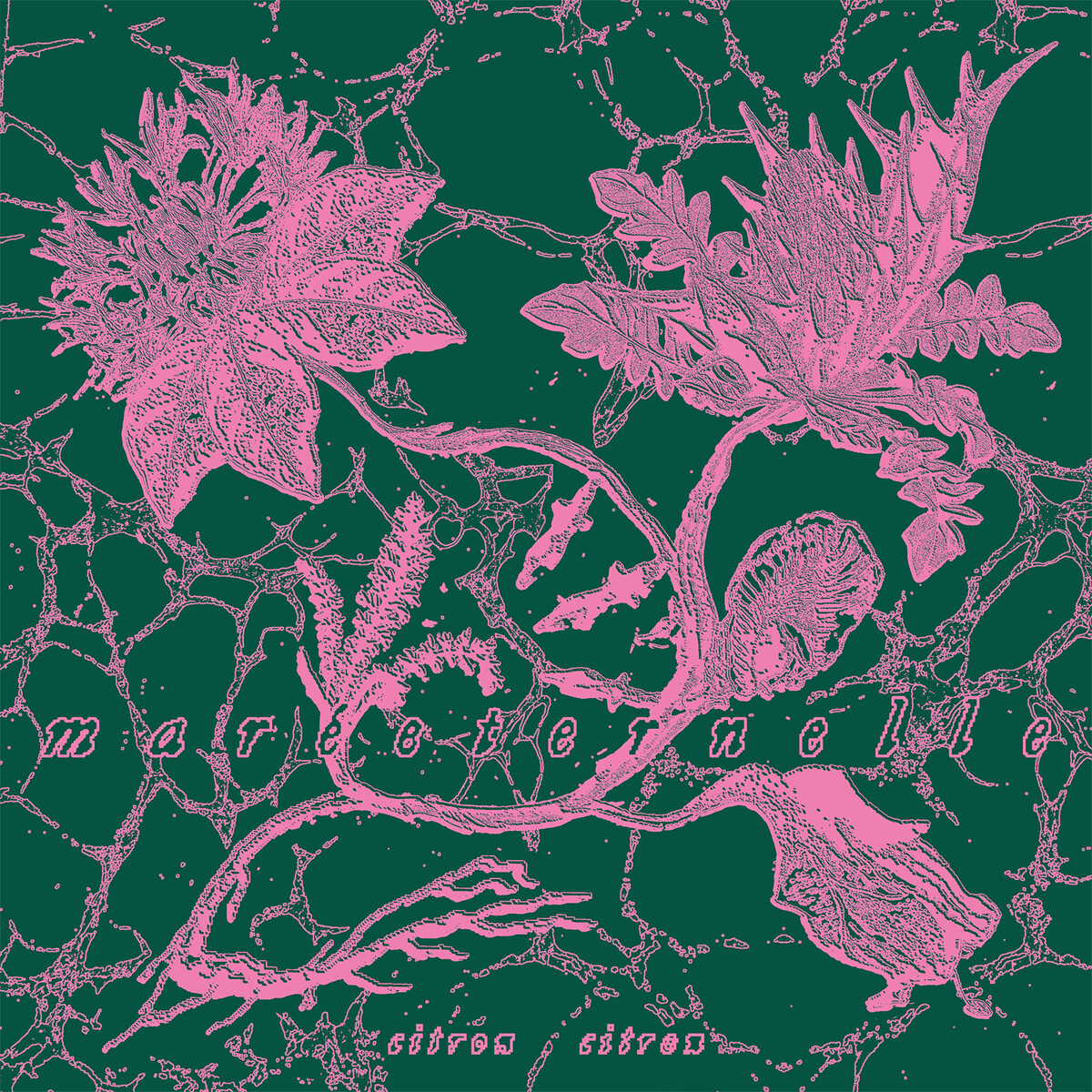 Maréeternelle by Citron Citron (Album): Reviews, Ratings, Credits, Song list - Rate Your Music