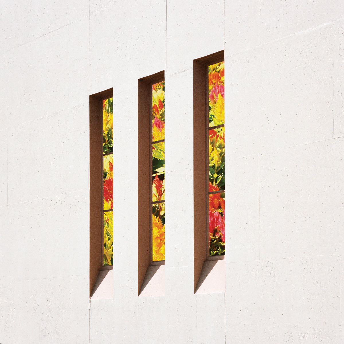 DYAN Albums: songs, discography, biography, and listening guide - Rate ...