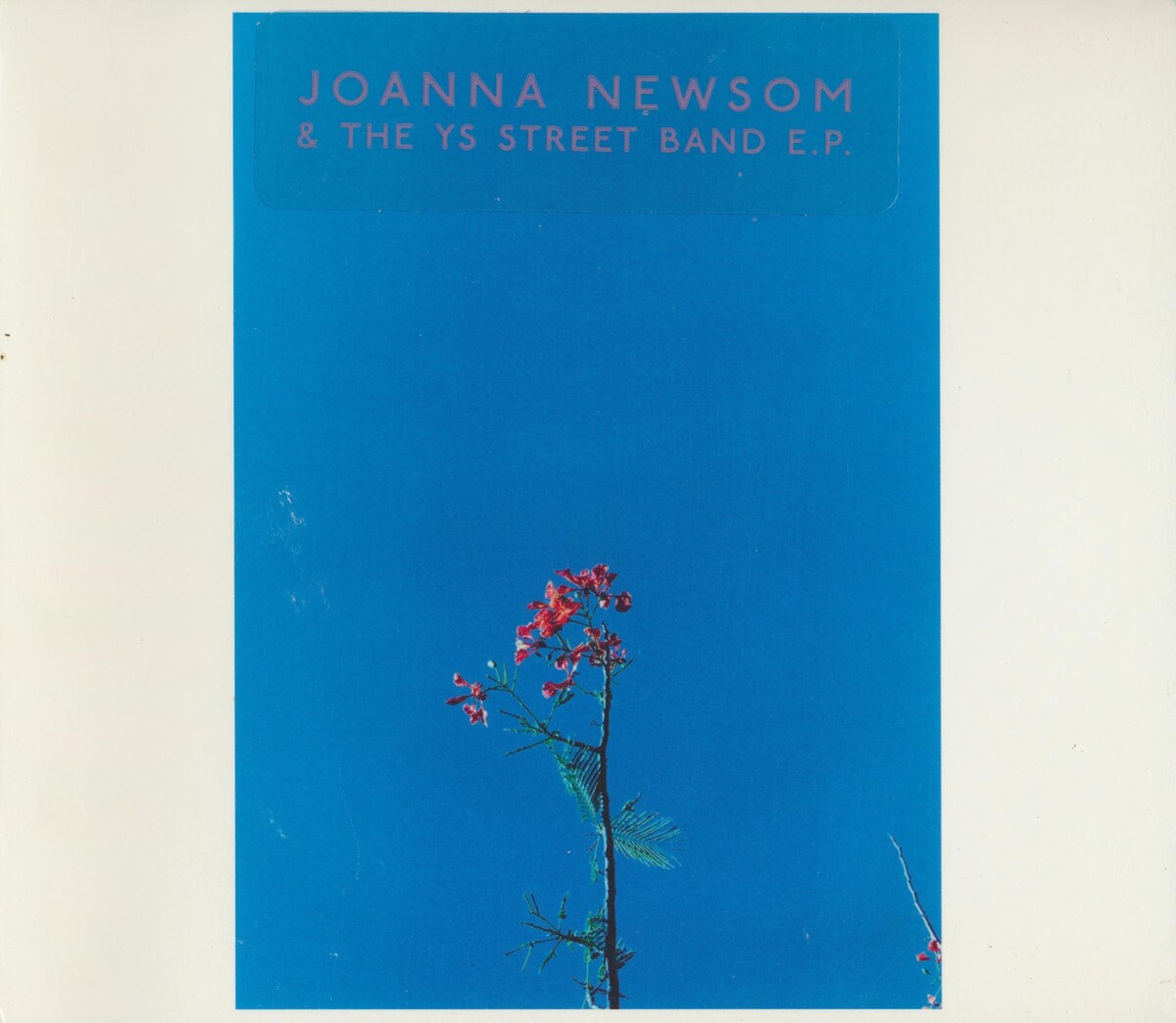 Joanna Newsom & The Ys Street Band E.P. by Joanna Newsom (EP, Chamber ...