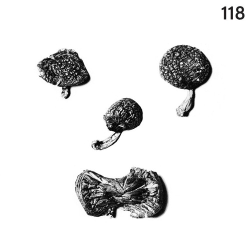 Elizabeth Mushroom by C.G. Roxane (DJ Mix): Reviews, Ratings, Credits ...