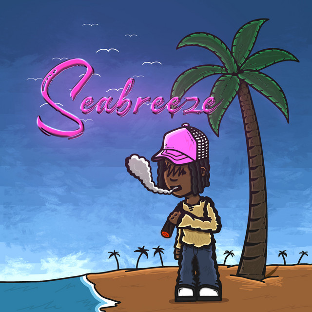 Seabreeze by StoopidXool & ICEEzz (Album, Cloud Rap): Reviews, Ratings ...