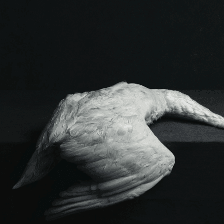Amenra Albums: songs, discography, biography, and listening guide ...