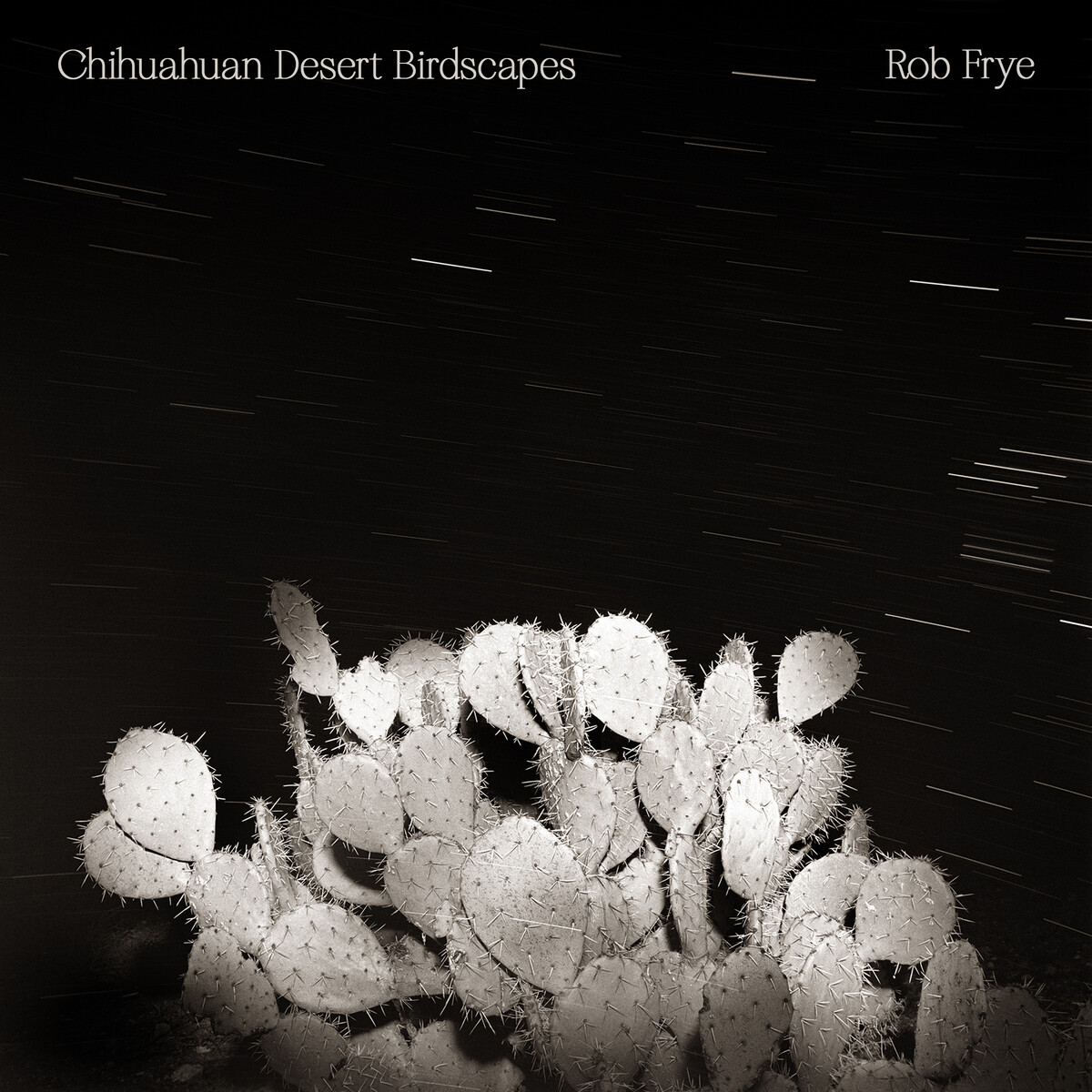 Chihuahuan Desert Birdscapes by Rob Frye (Album): Reviews, Ratings ...