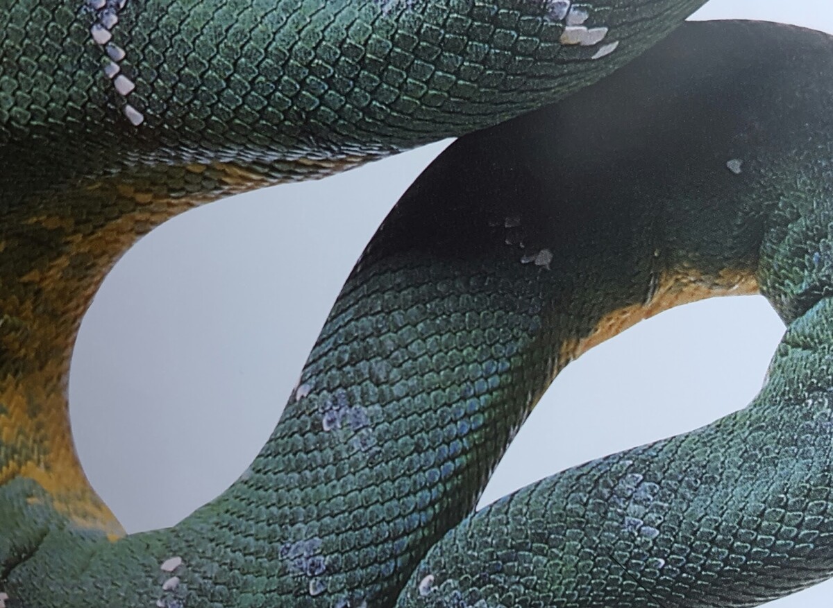 Breather Attitudes by Downer Canada (Album): Reviews, Ratings, Credits ...