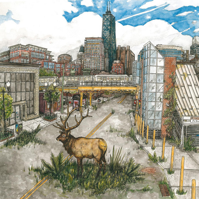 Jack Campbell by Jack Campbell (Album): Reviews, Ratings, Credits, Song ...