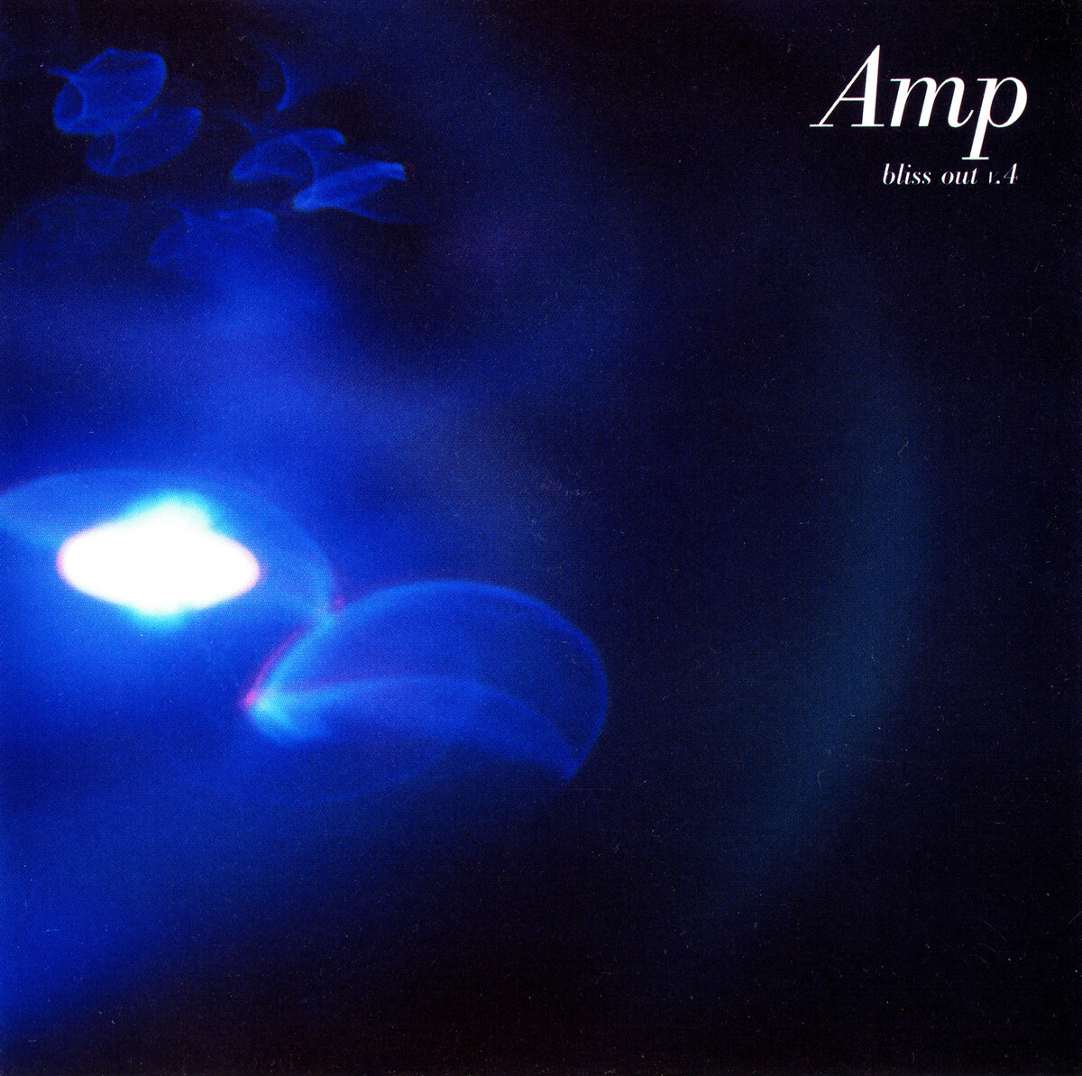 Perception by Amp (Album, Ambient): Reviews, Ratings, Credits, Song ...