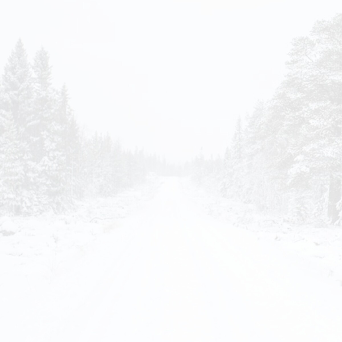 in winter by snowing (Album): Reviews, Ratings, Credits, Song list ...