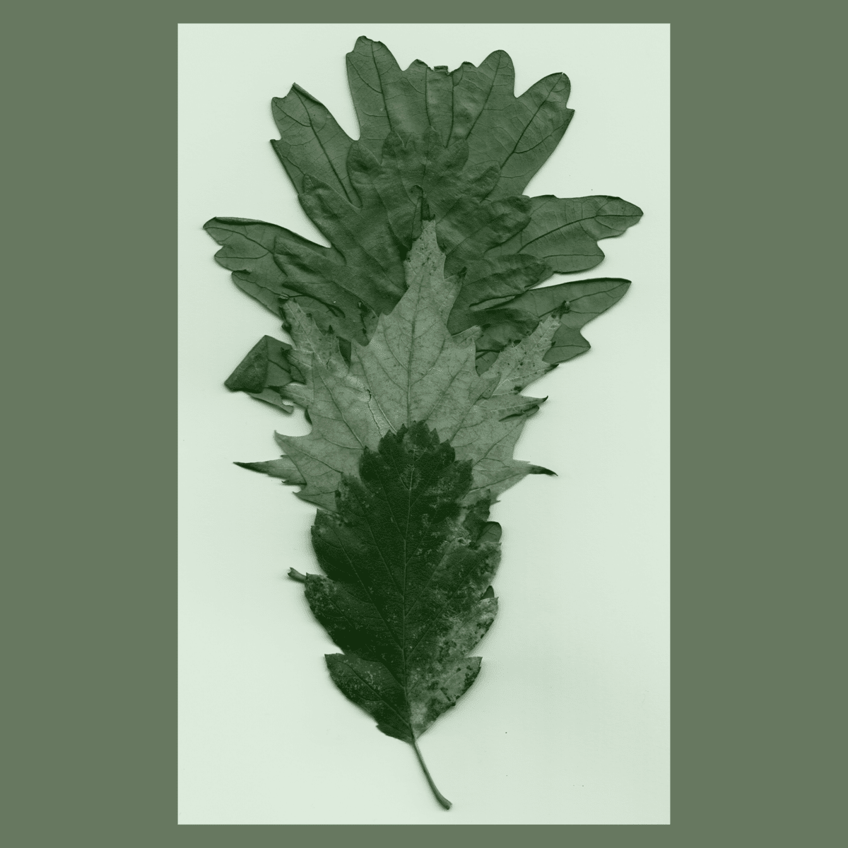 J. Wiegold Albums: songs, discography, biography, and listening guide ...