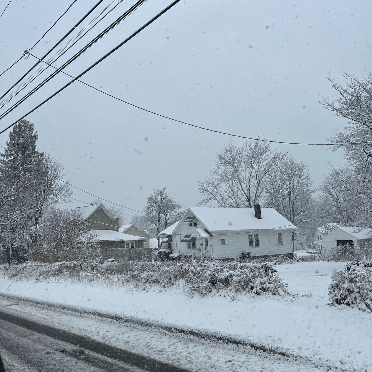 wisp Albums: songs, discography, biography, and listening guide - Rate ...