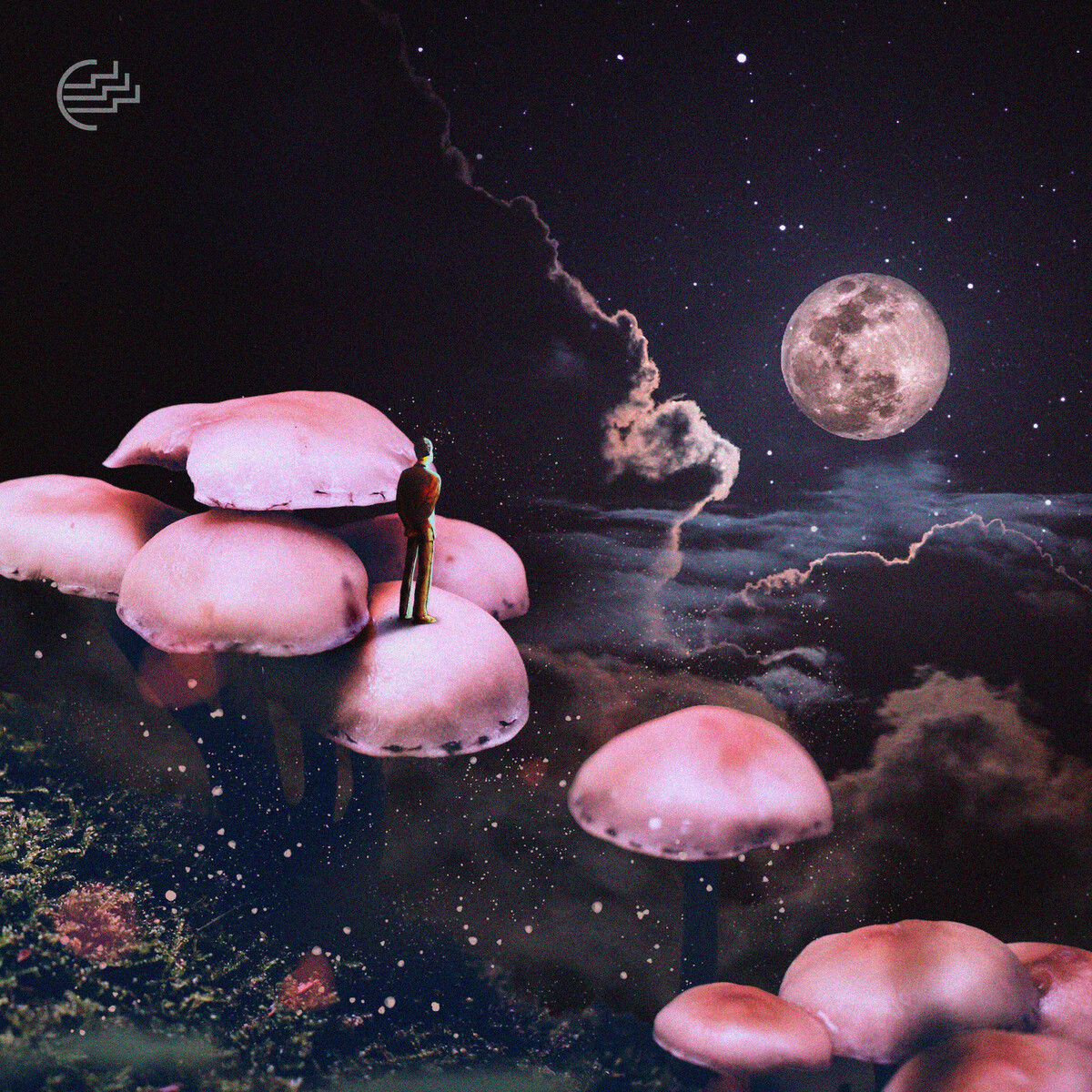 Moon King by Ziggurat (Single): Reviews, Ratings, Credits, Song list ...