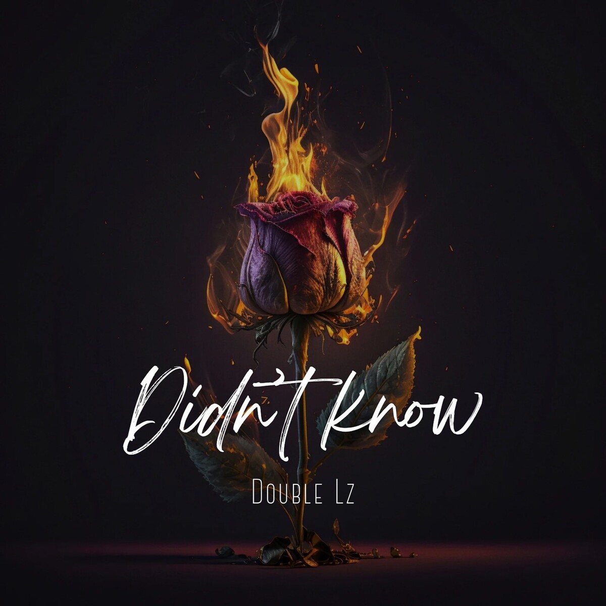 Didn't Know by Double Lz (Single, UK Drill): Reviews, Ratings, Credits ...