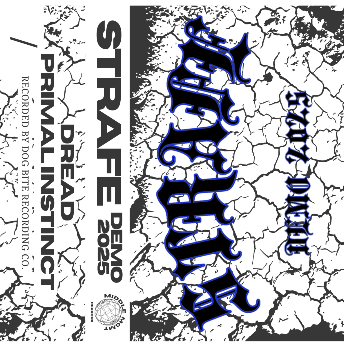 Demo 2025 by Strafe (Additional release): Reviews, Ratings, Credits ...