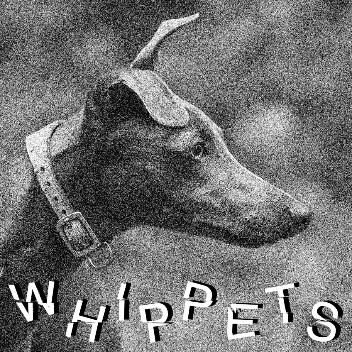 Whippets by Whippets (EP): Reviews, Ratings, Credits, Song list - Rate ...
