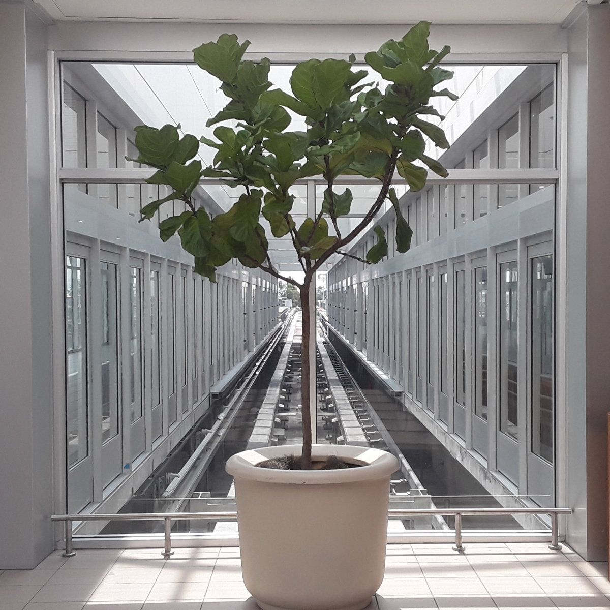 Matthew Bertram Albums: songs, discography, biography, and listening ...