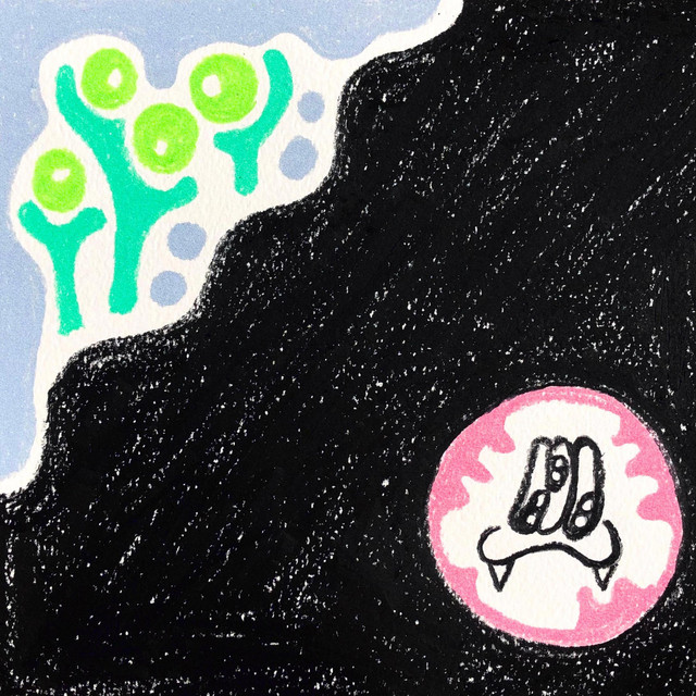 Anti Weasel Moth Quartet by Calson (Album): Reviews, Ratings, Credits ...