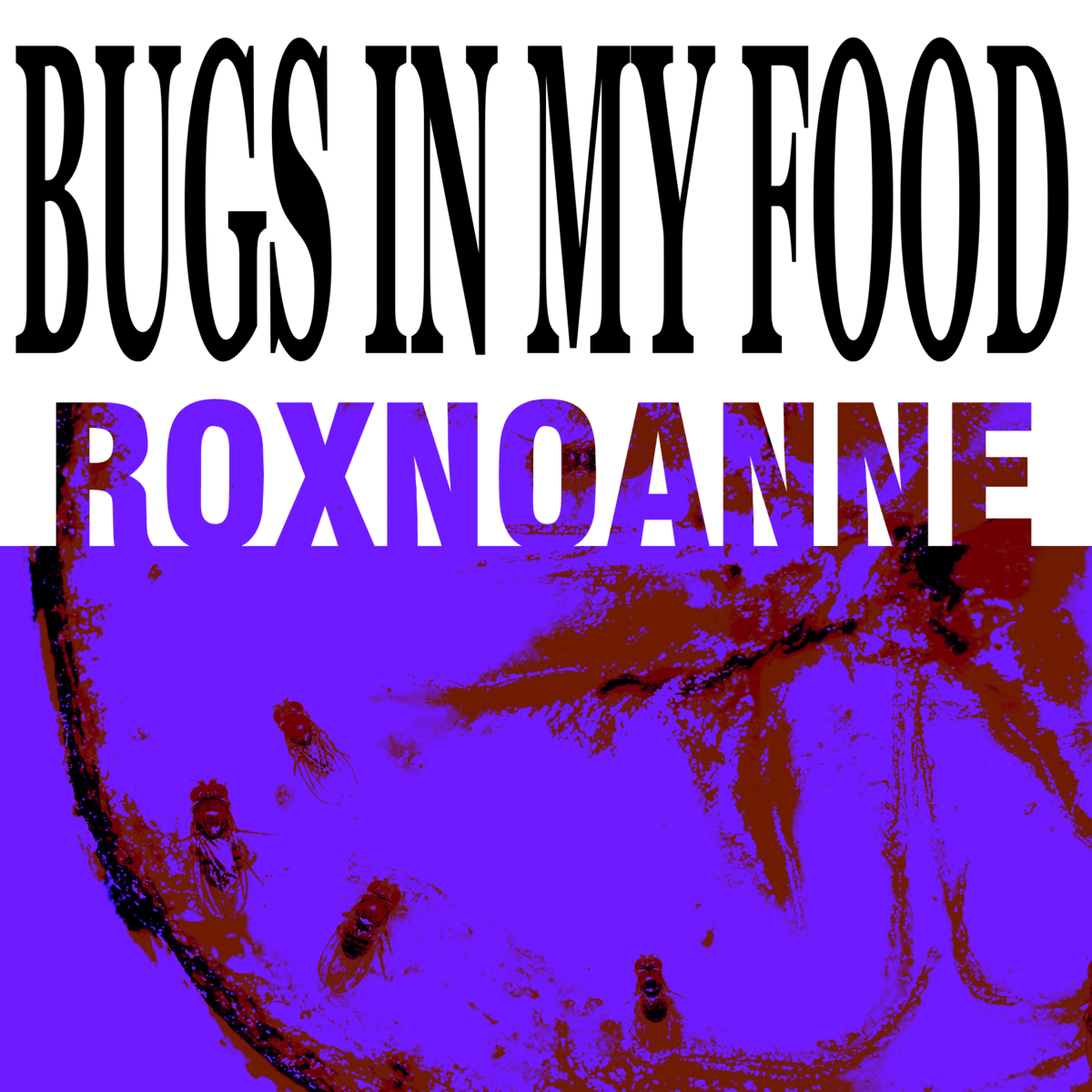 Bugs in My Food by RoxNoAnne (Album, Novelty): Reviews, Ratings ...