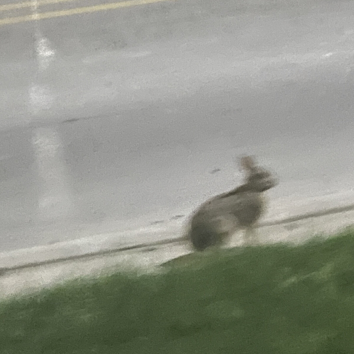 Resemblance by Atlas (Album, IDM): Reviews, Ratings, Credits, Song list ...