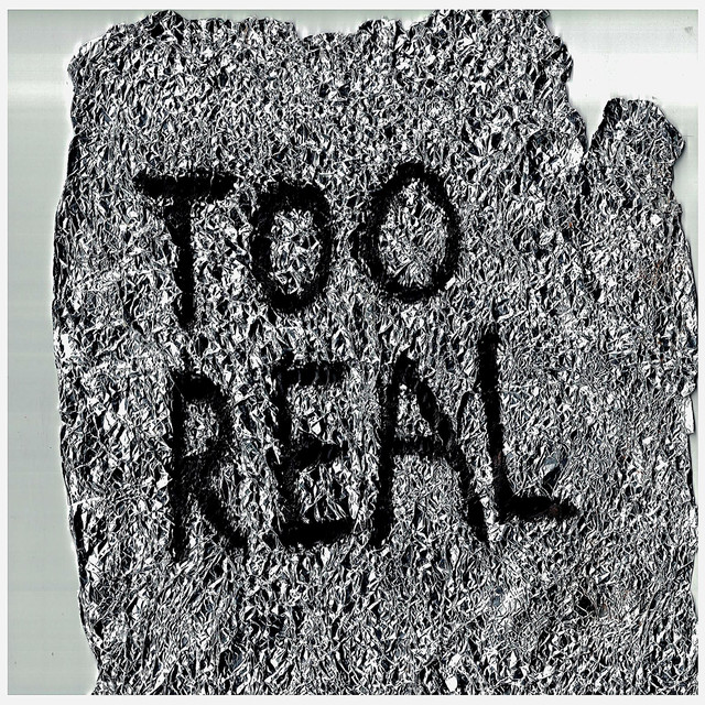 Too Real by FIDLAR (Single, Garage Punk): Reviews, Ratings, Credits ...