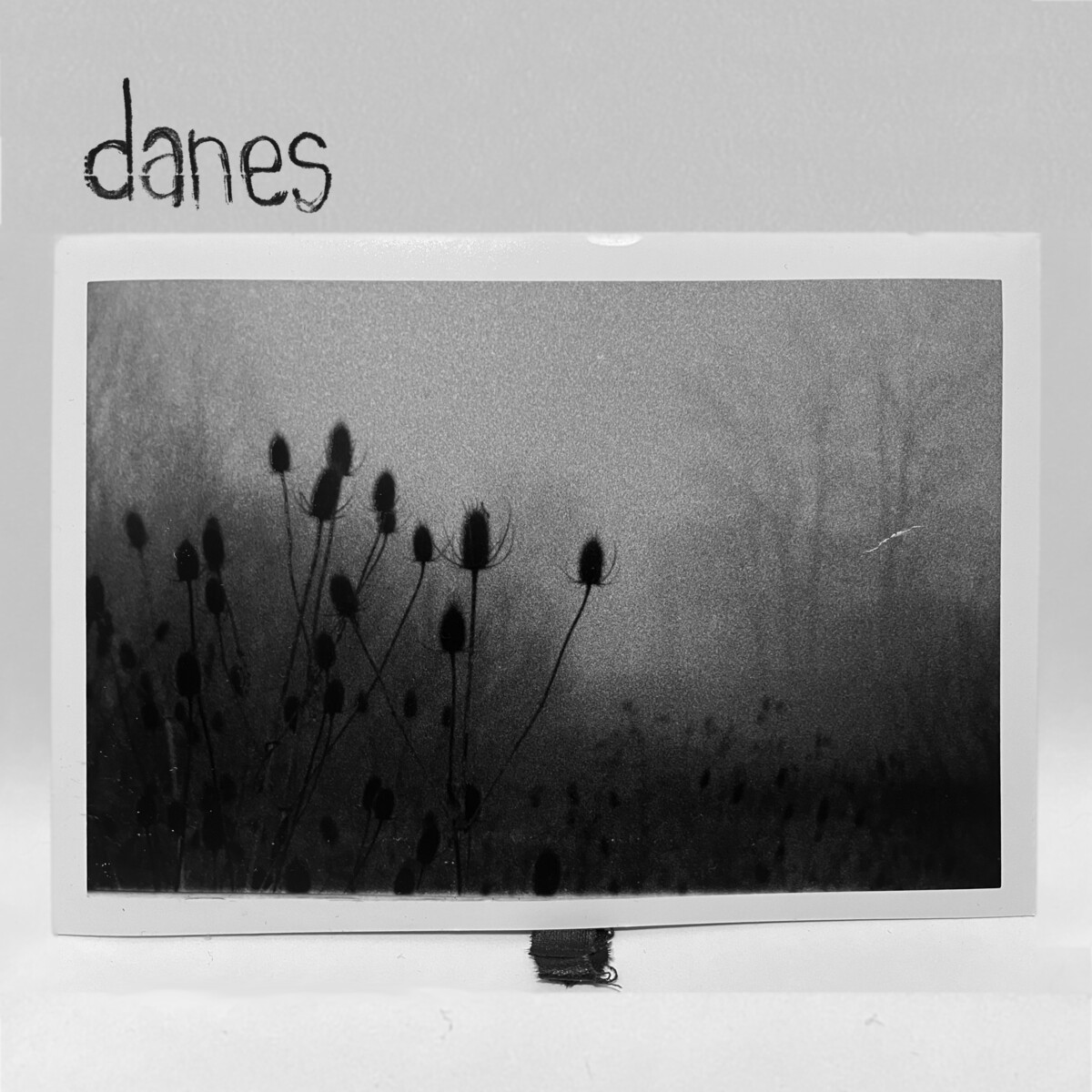 Danes by Danes (Album): Reviews, Ratings, Credits, Song list - Rate ...