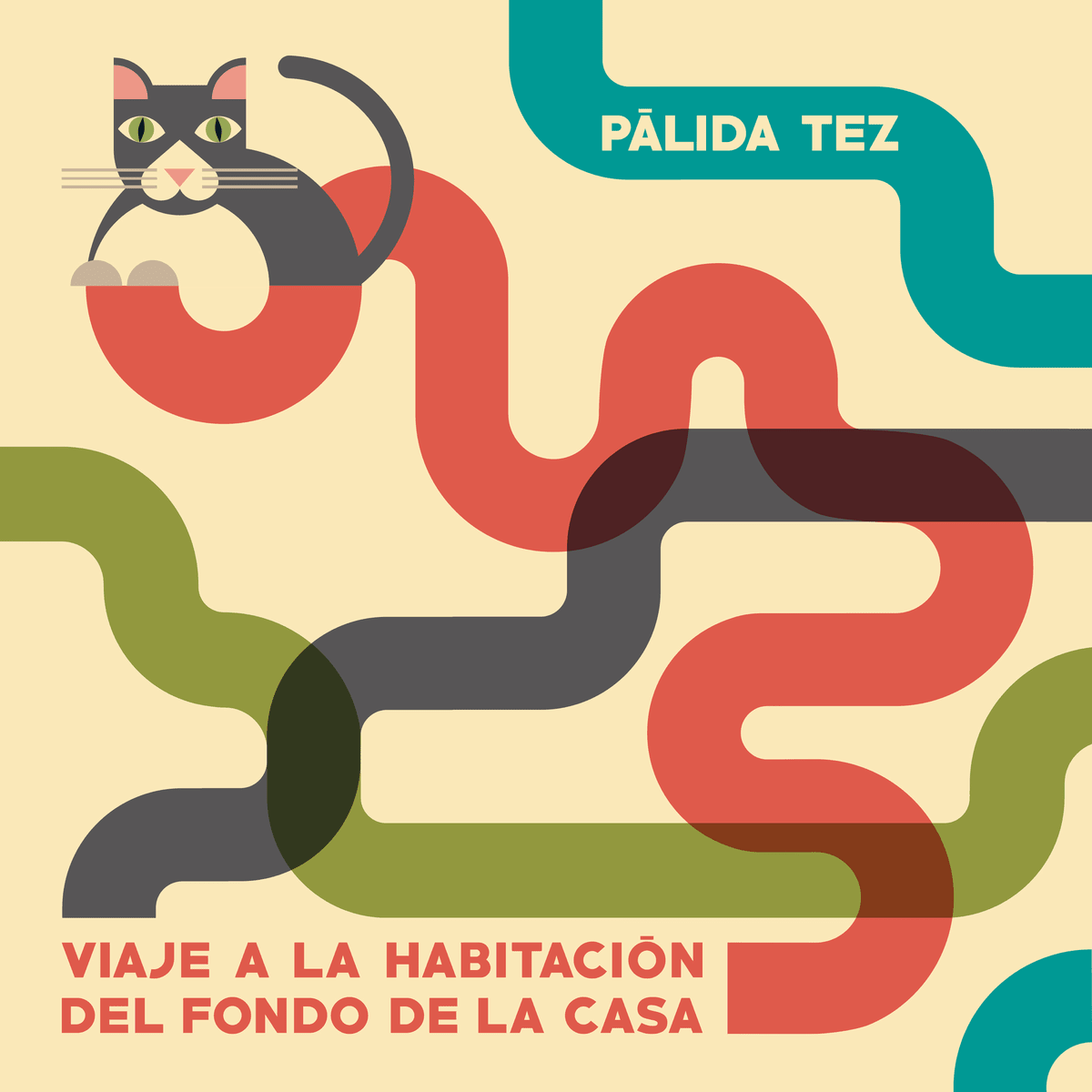 Pálida Tez Albums: songs, discography, biography, and listening guide ...