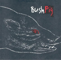 Bushpig by Bushpig (EP, Noise Rock): Reviews, Ratings, Credits, Song ...
