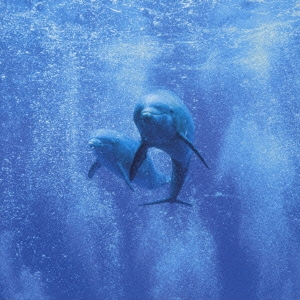 Best Ambient Trance albums of all time - Rate Your Music