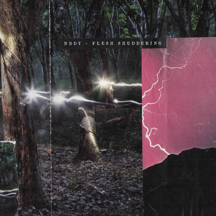 Electric Reforestation by NBDY & Flesh Shuddering (Album, Harsh Noise ...