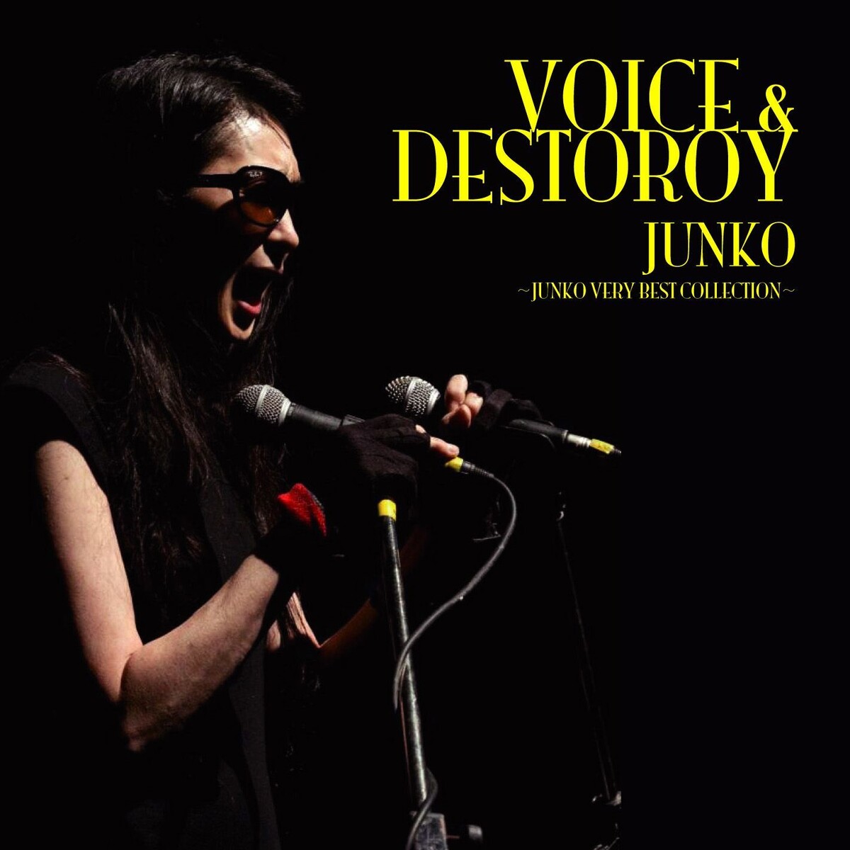 Voice & Destroy ~Junko Very Best Collection~ by Junko (Compilation ...