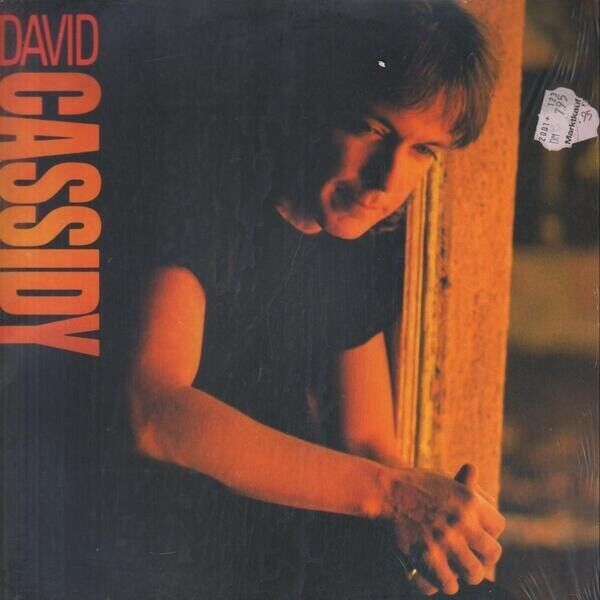 David Cassidy By David Cassidy Album Enigma 064 773554 Reviews