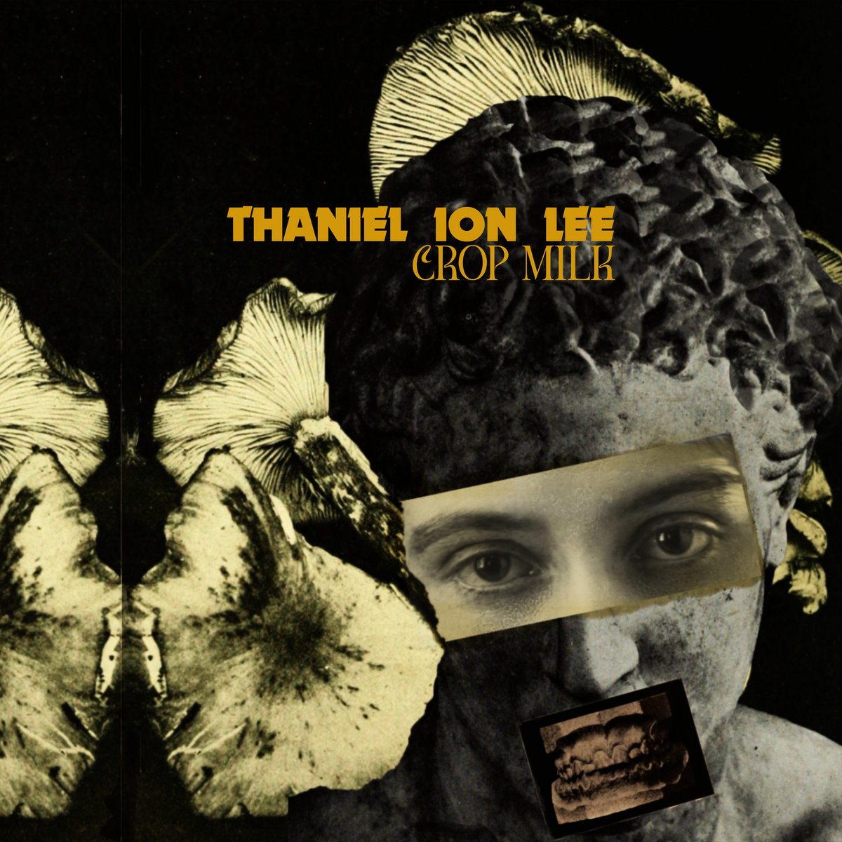 Crop Milk by Thaniel Ion Lee (Album): Reviews, Ratings, Credits, Song list - Rate Your Music