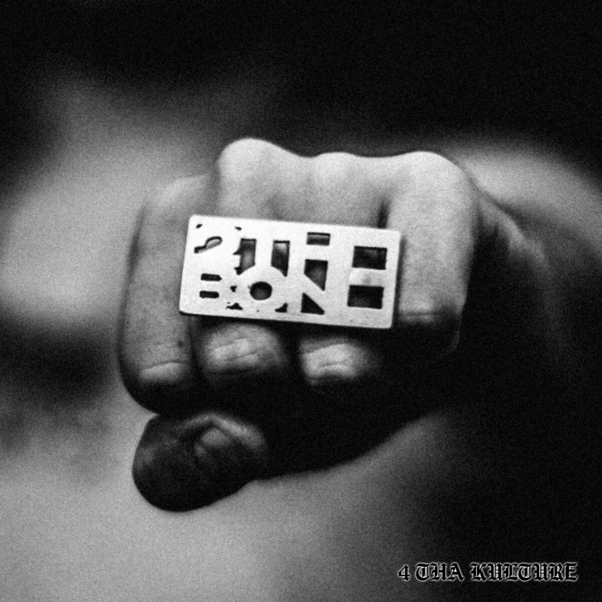 4 Tha Kulture by 2 the Bone (EP, Crossover Thrash): Reviews, Ratings ...