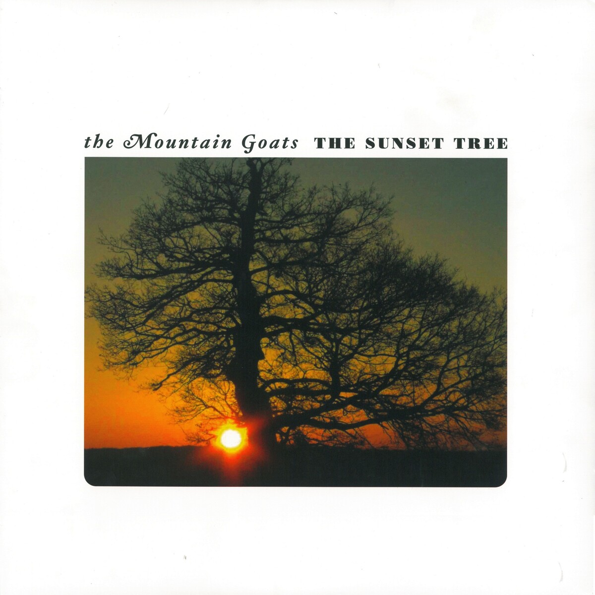 The Sunset Tree by The Mountain Goats (Album; 4AD; CAD 2508): Reviews ...