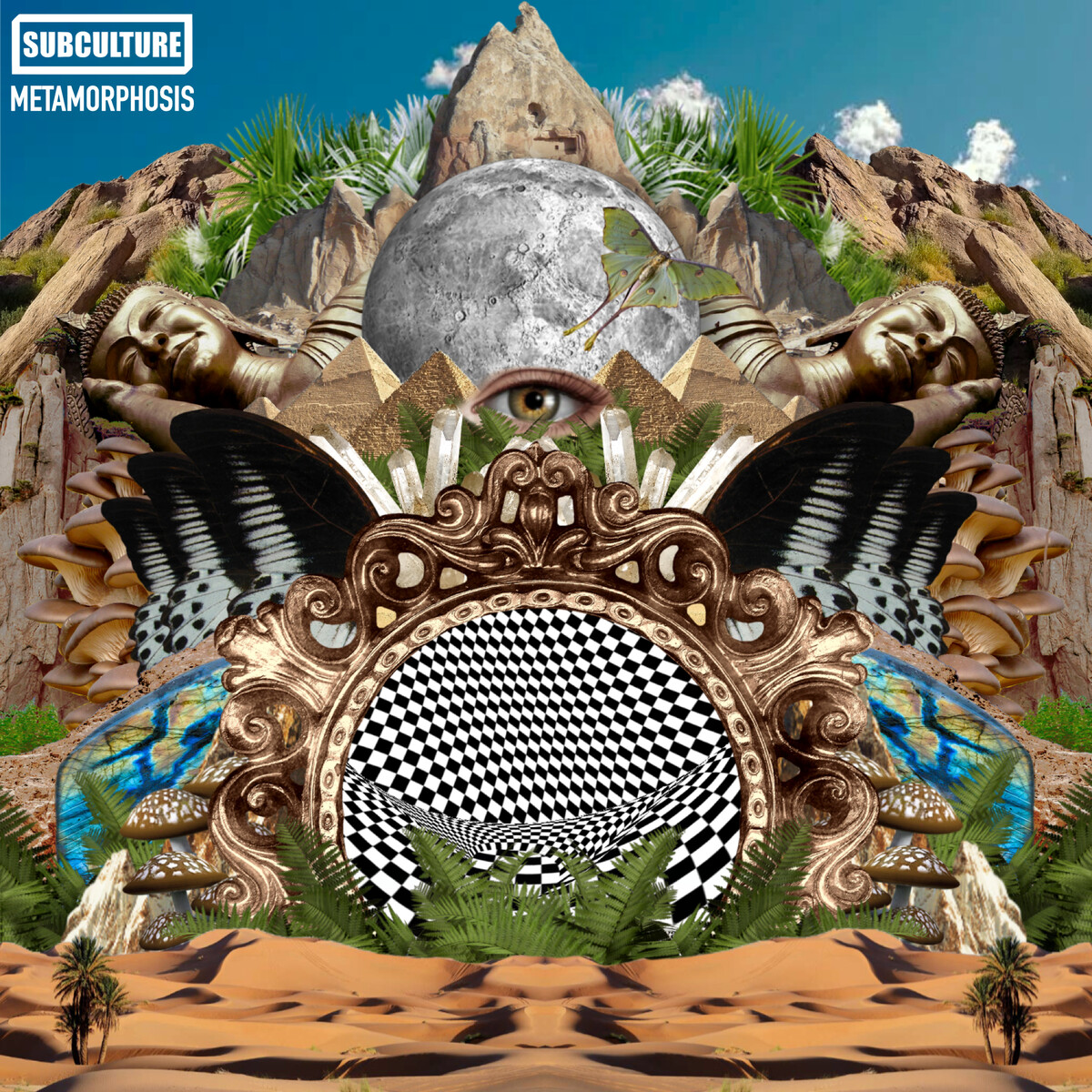 Metamorphosis by Subculture (Album): Reviews, Ratings, Credits, Song ...