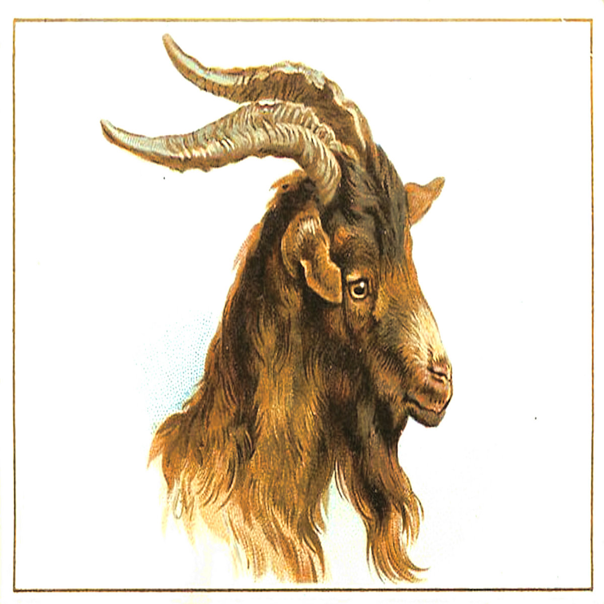 Swyn Deor by Swin Deorin (Album): Reviews, Ratings, Credits, Song list ...