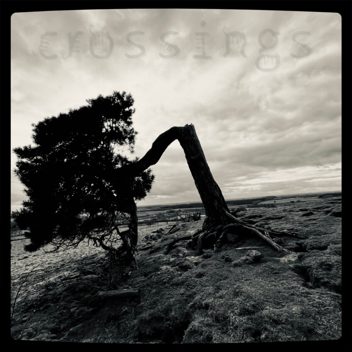 Crossings by Johnny the Boy (Single): Reviews, Ratings, Credits, Song ...