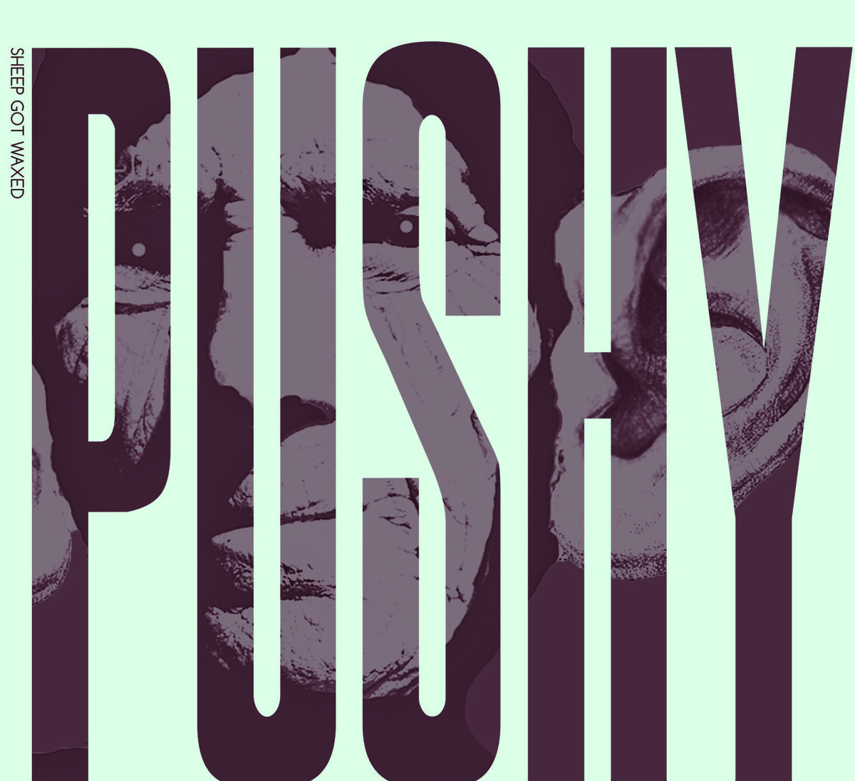 Pushy by Sheep Got Waxed (Album; n/a): Reviews, Ratings, Credits, Song ...