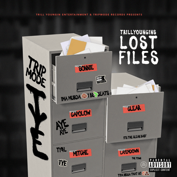 Lost Files by Trill Youngins (Mixtape, Hip Hop): Reviews, Ratings ...