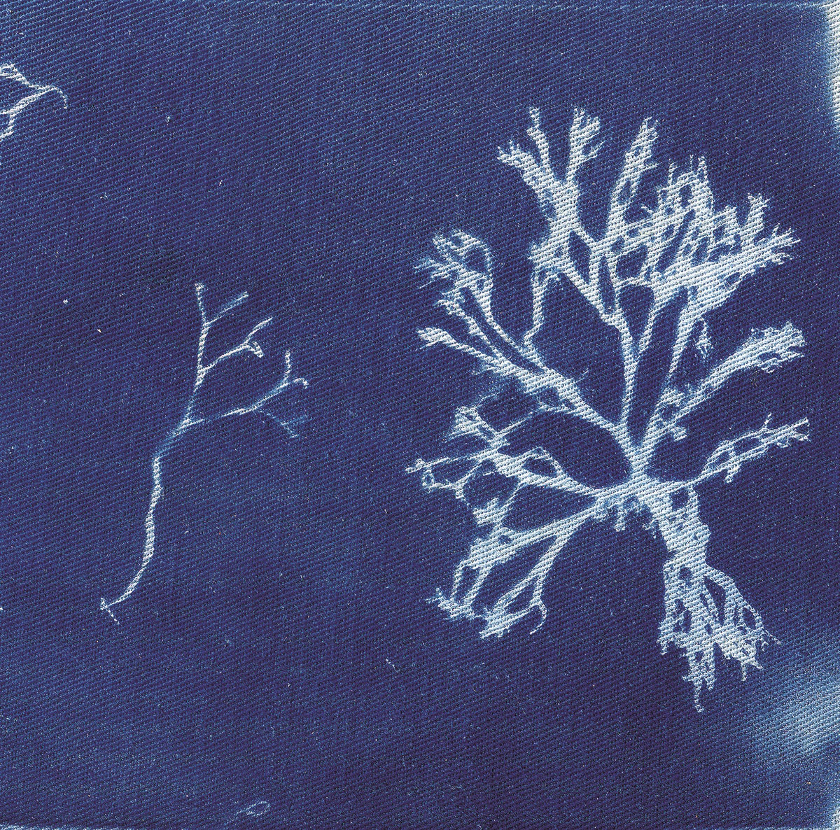 Maria da Rocha Albums: songs, discography, biography, and listening ...